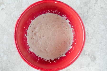 The Best Vegan Concha Recipe « Dora's Table