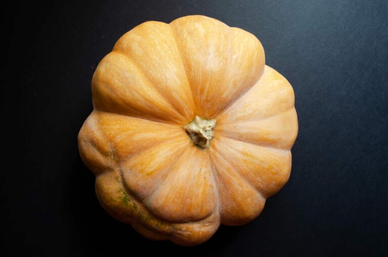 Mexican Candied Pumpkin (Calabaza en Tacha) « Dora's Table